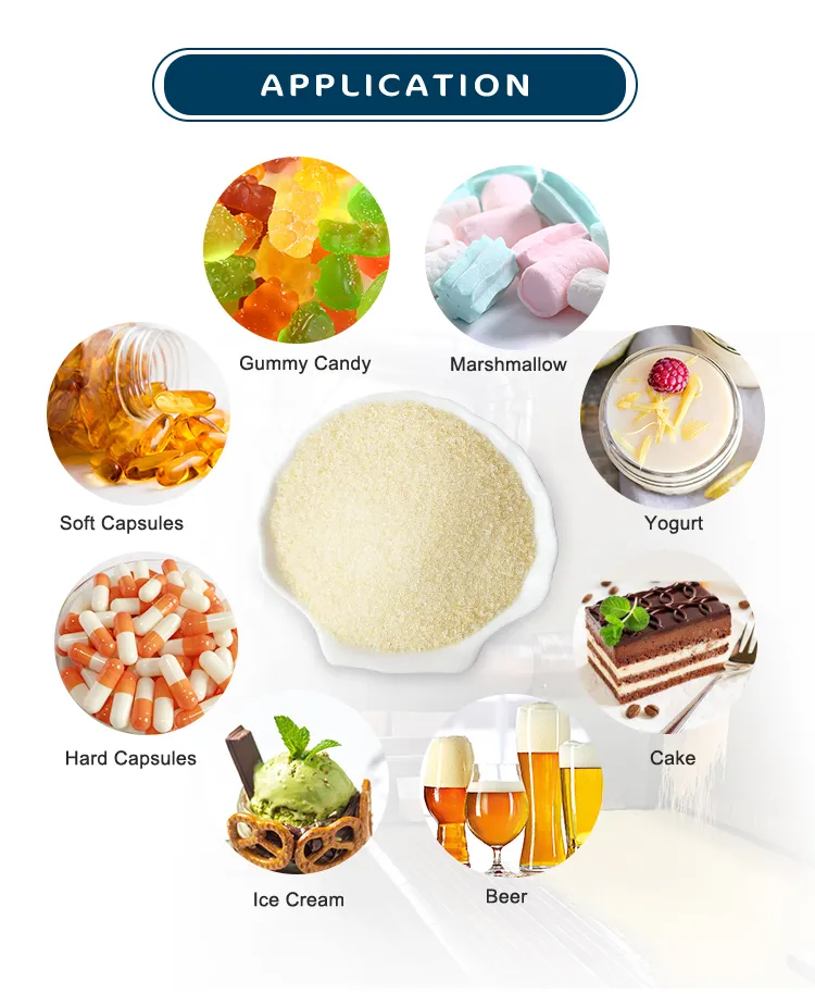 Food With Gelatin And How It Is Used In Food - Sadiq Gelatin